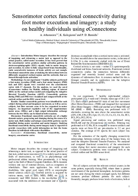 Pdf Sensorimotor Cortex Functional Connectivity During Foot Motor