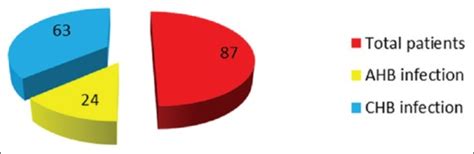 A Study On Hepatitis B Viral Seromarkers And Associated Risk Factors