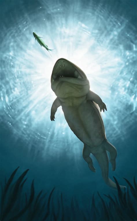 Identifying A 240 Million Year Old Fossil From The Central Coast