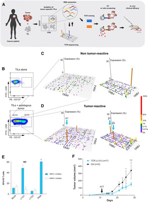Tcr Sequencing And Cloning Methods For Repertoire Analysis And Isolation Of Tumor Reactive Tcrs