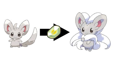 What Level Does Minccino Evolve In Pokemon Black