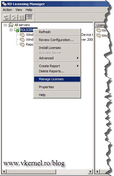 How To Remove Rds Cals From A Rd License Server Adrian Costeas Blog