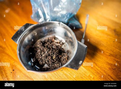 Working In A Soil Lab Iwth Soil Samples Testing A Soil Test In