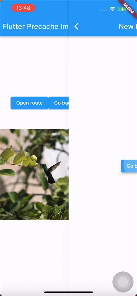 Going Back To The Previous Route Images Should Not Be Redrawn · Issue