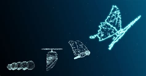 디지털 금융 비즈니스 혁신 기술 혁신 혁신의 리더십 경영 변화에 개발 된 나비 성장 진화 변환 개념과 추상적 인 배경의 복사 공간 변경에 대한 스톡 사진 및 기타 이미지