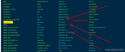 Linux各目录及每个目录的详细介绍usr Local Lib在哪 Csdn博客