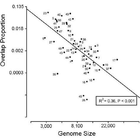 7 Overlapping Genes In Different Orientations And Phases Differ In The