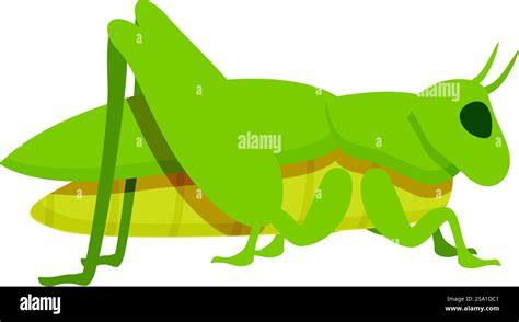 Green Grasshopper Icon Cartoon Vector Nature Insect Figure Natural