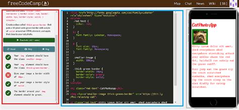 Belajar Membuat Web Dengan Freecodecamp Pengenalan