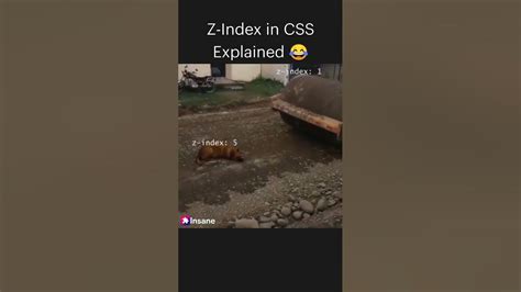 Z Index Css Css Index Programming Ytshorts Coding Viral Shorts