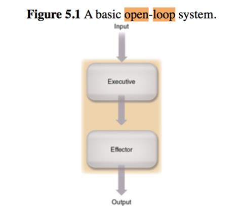 Lecture 7 Motor Programs 1 Flashcards Quizlet