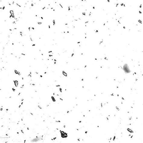 Particle Size And Shape Characterisation At Best Price In Pune