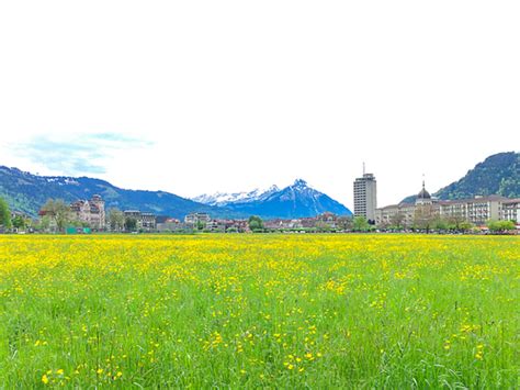 유토이미지 상세페이지 베이직샵 20729708 스위스 작은 도시의 아름다운 자연 풍경