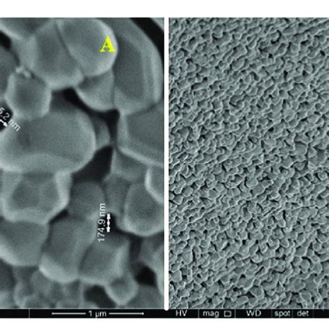 Sem Image A And Edx Analysis B Of Calcium Deficient Hydroxyapatite