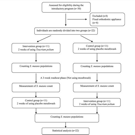 Colony Count Of Streptococcus Mutans Before And After Each Phase