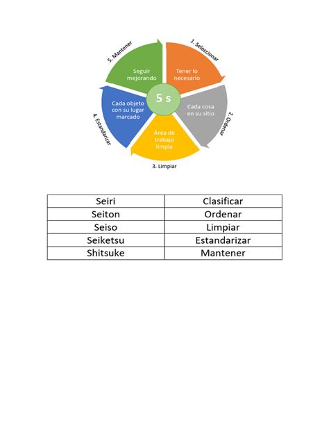 5s Clasificación Y Organización Efectiva Pdf