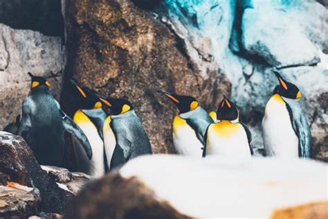 What Is Embedded Linux And When Should Your Device Use It