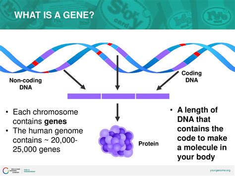 Card Based Discussion Activity Ppt Download