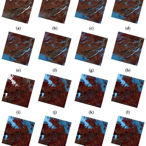 Typical Visual Examples Of Full Images 2 Download Scientific Diagram