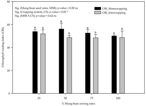Agronomic And Yield Performance Of Maize Mungbean Intercropping With Different Mungbean Seed