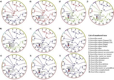 Maximum Likelihood Estimates On Ancestral States Of Stochastic