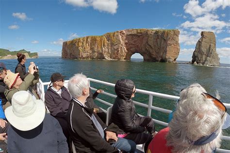 Wildlife Adventure On Quebecs Bonaventure Island Photo Journeys