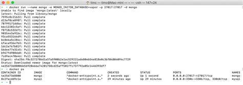 server side swift with vapor chapter 6 configuring a database kodeco