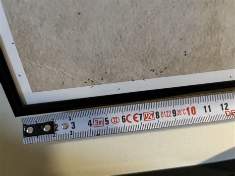 Is This Cockroach Poop Rwhatsthisbug