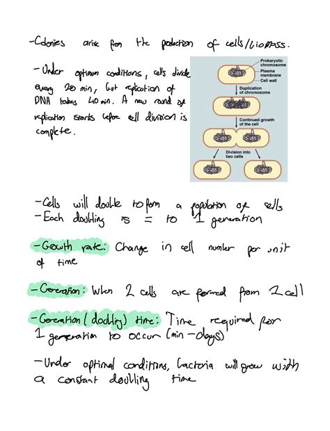 Topic 6 Microbial Notes On Microbes Colonies Arise From The Production Of Cells Ciomass