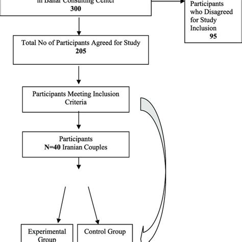 Participants Inclusion And Random Assignment To Treatment Condition Download Scientific Diagram