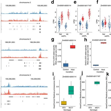 Utilization Of Tf Footprints To Identify Heat Response Cis Regulatory
