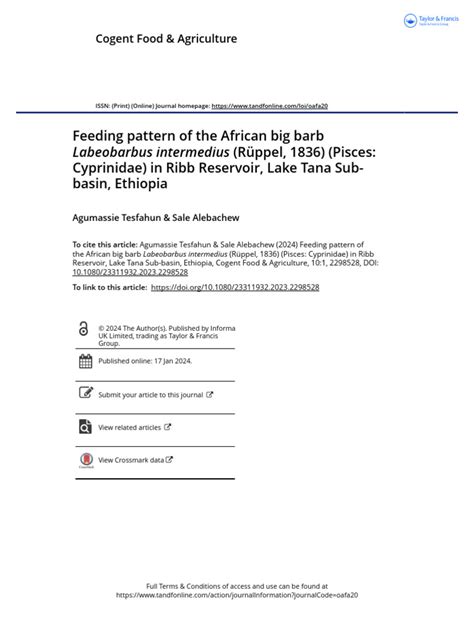 Feeding Pattern Of The African Big Barb Labeobarbus Intermedius R Ppel 1836 Pisces Cyprinidae In