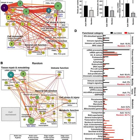 Mapping The Functional Genes Associated With Sle Immunochip Snps A Download Scientific