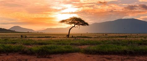 Integration Of Sage 50 With Amazon Marketplace The Best Option For South African Online