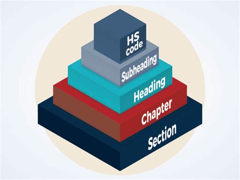Harmonized System 101 An Importers Guide To Hs Codes And Their Role