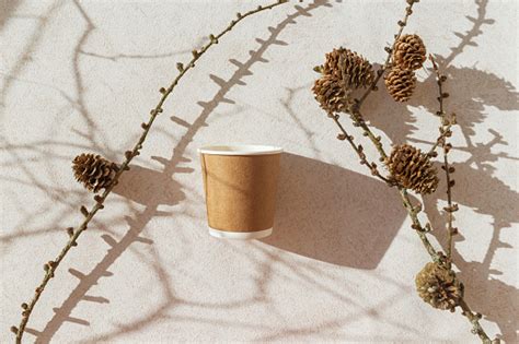 원뿔과 그림자가 있는 가지가 있는 파스텔 배경에 친환경 공예 종이컵 재활용 개념 원뿔이 있는 제로 웨이스트 테마 분기 0에 대한