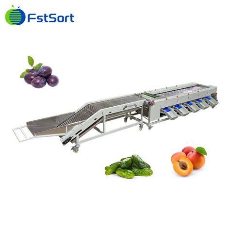 Fstsort Vegetable Sorting Machine Gherkin Grader Gherkin Processing