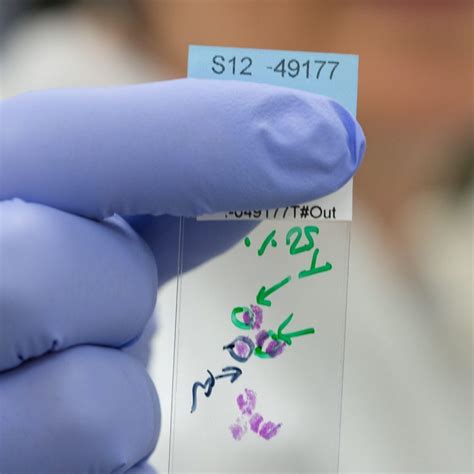 Microscope Slide Label Expert Labels