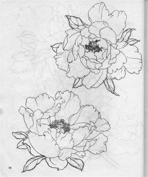 민화 모란도도안 민화도안 소품그리기 분당민화 판교민화 팝페인터 민화배우기 Artofit