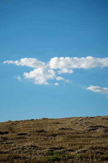 Skybox Images Free Download On Freepik