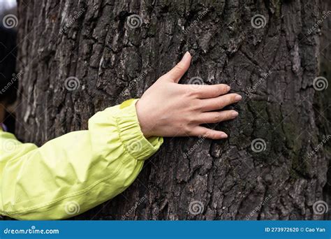 Female Hand Touching Tree In Rainforest Love Nature Concept Stock Photo Image Of Essential