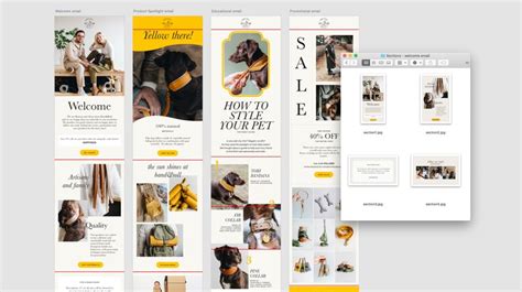 Newsletter Template Design With Adobe XD And Canva Newsletter Template Design With Adobe XD