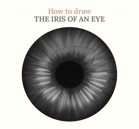 How To Draw The Iris Of The Eye Step By Step Method