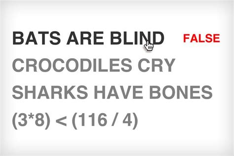 Build A Fun True Or False Quiz With CSS Design Shack