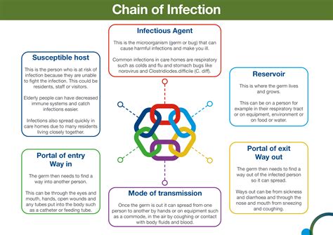 Chain Of Infection Explained Step By Step