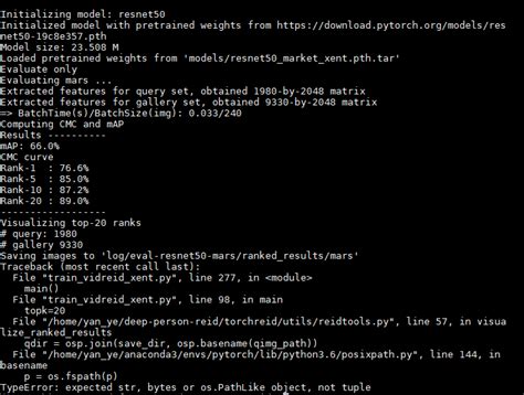 Error On Evaluation When Visualize Ranks Switched On · Issue 93 · Kaiyangzhoudeep Person