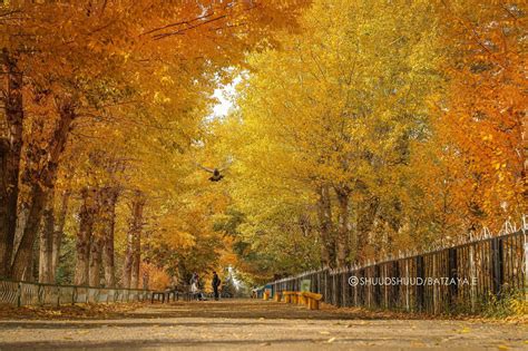 ХААИС АГРОЭКОЛОГИЙН СУРГУУЛЬ Facebook