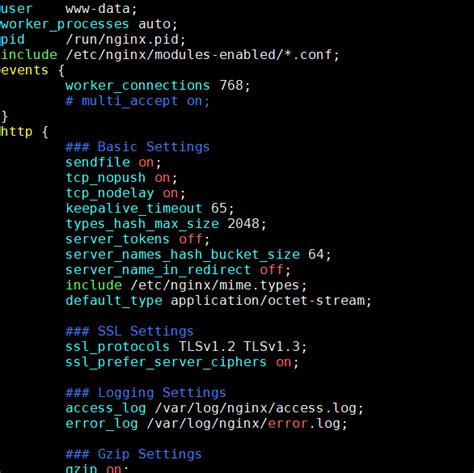 nginx 설정파일을 vim 으로 변경시 색상 표시 내일은 치킨집 ceo