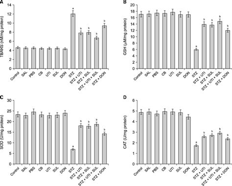 Effect On Brain Oxidative Stress Tbars Gsh Sod Cat Results Are