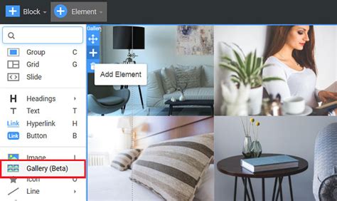 nicepage 2 12 new gallery control radio button in form